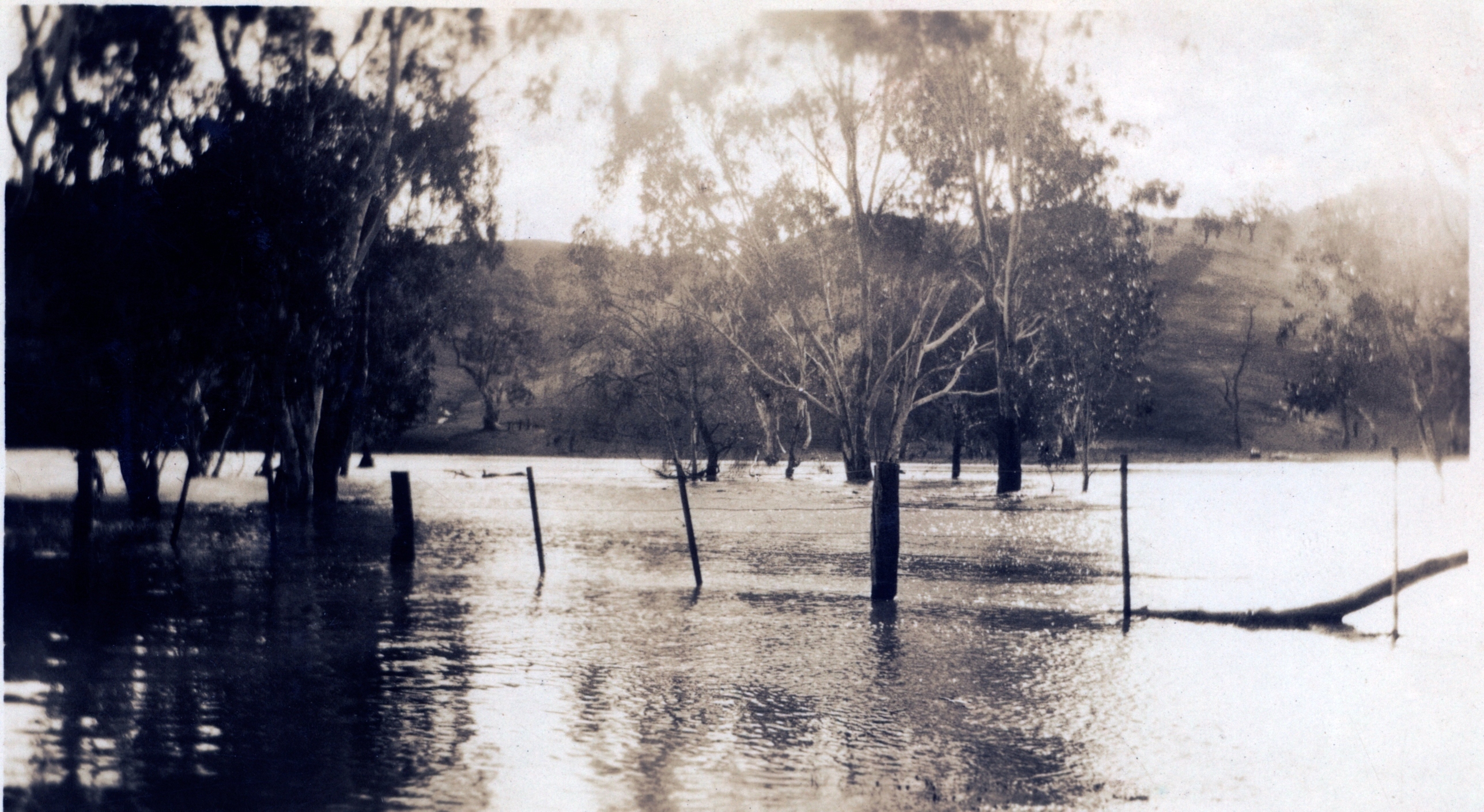 Killing pen and Lower Dip paddocks in flood - Preston Station - High ...