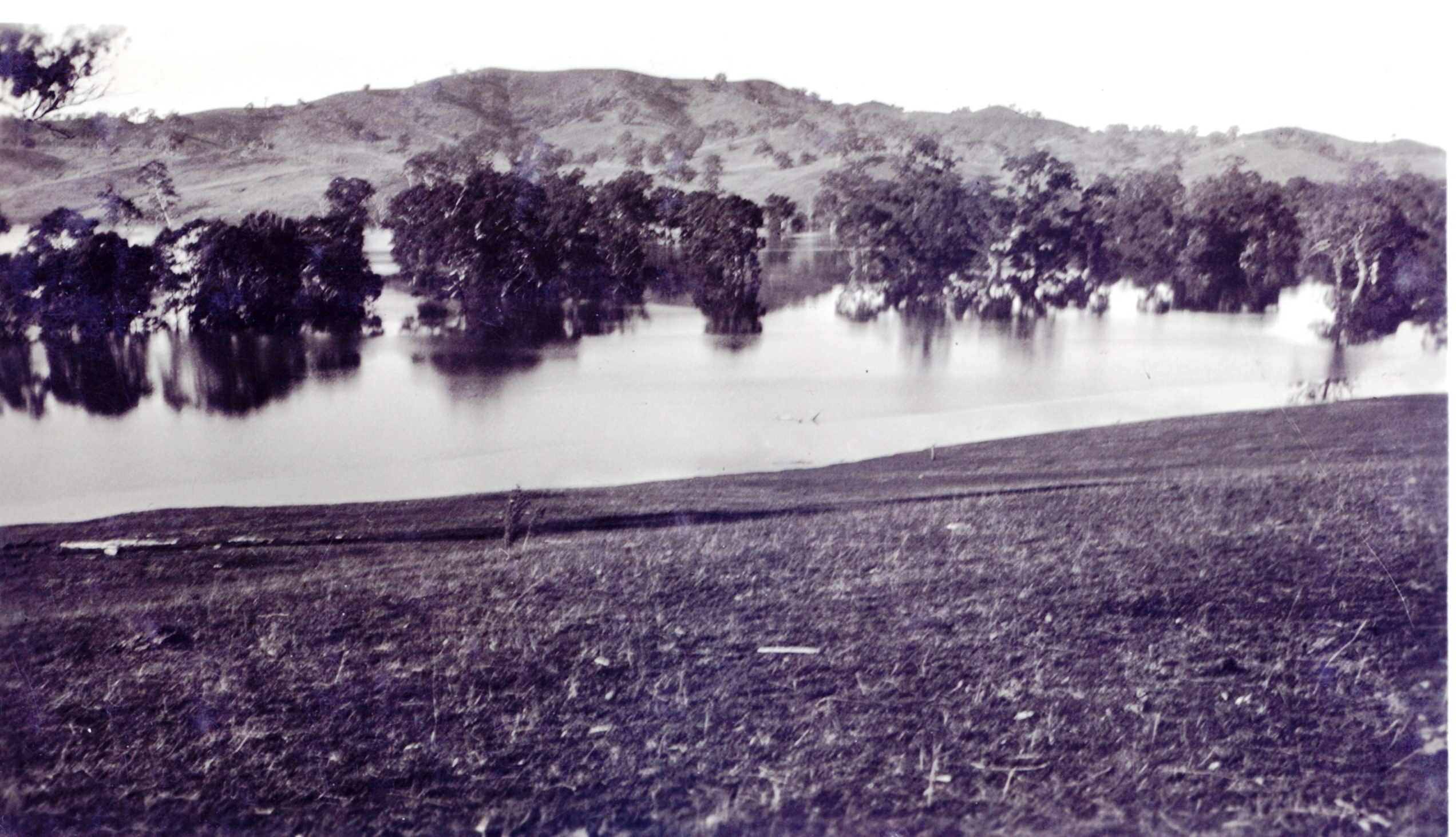 Backup flooding of the Delatite River near Preston Station - High ...