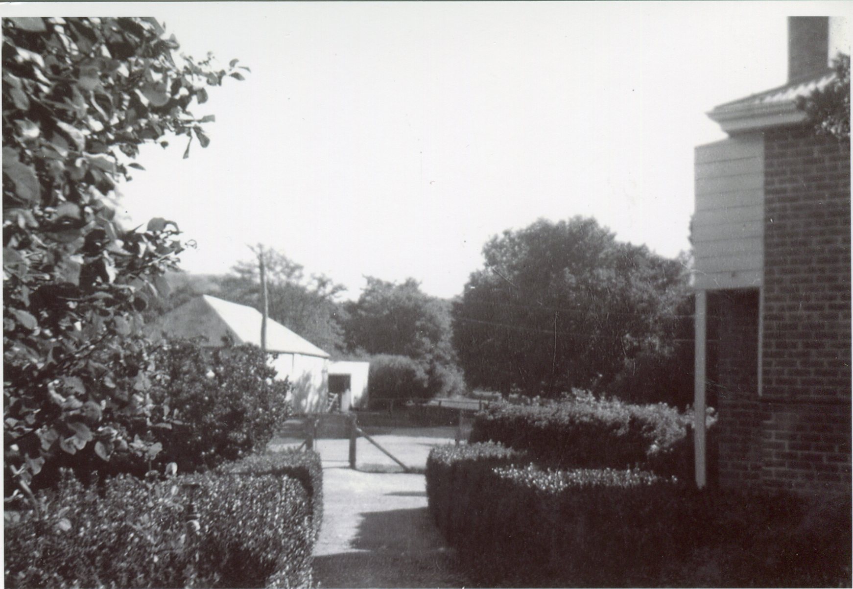 Wappan Station Homestead - High Country History Hub