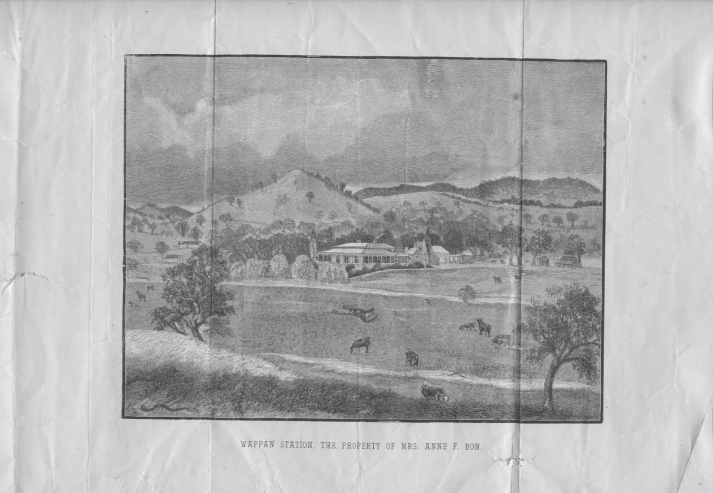 Wappan Station Homestead. Copy of line sketch of Wappan Homestead ...