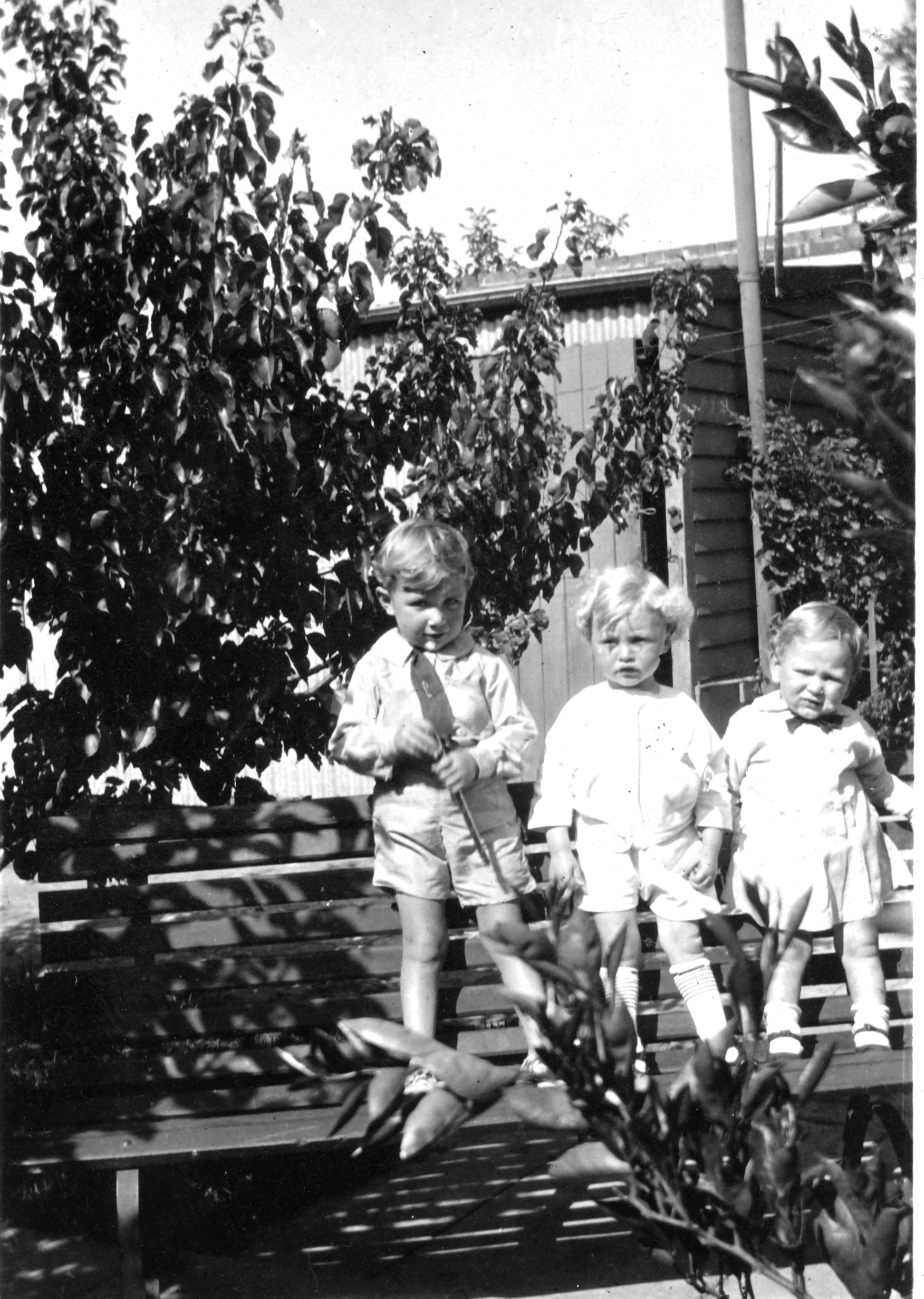 Noel, Lindsay, Alan - children of the Nicolson twins, Jen and Annie ...