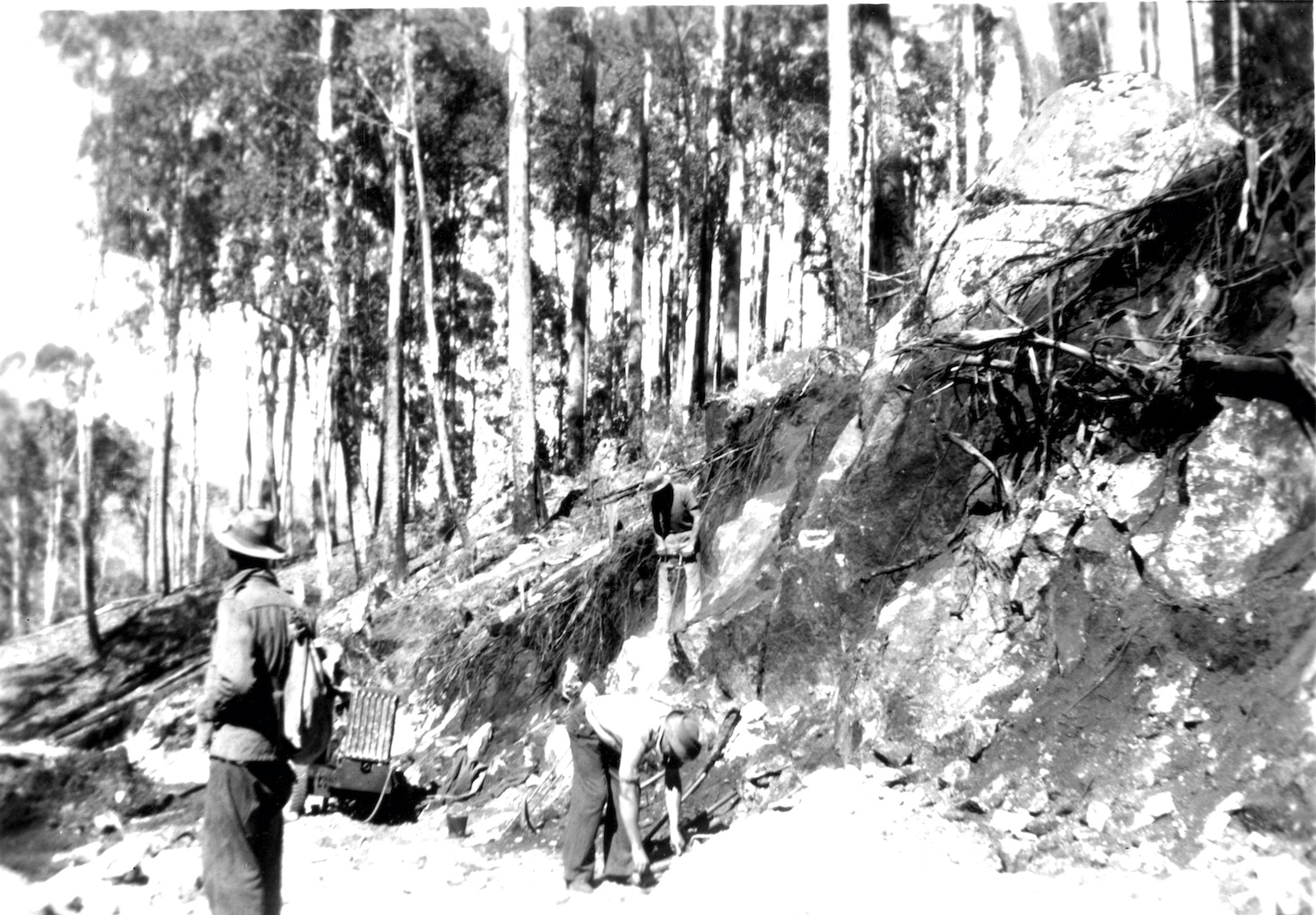 Forestry Commission - Mt Stirling Road. Harry Norris with back to ...