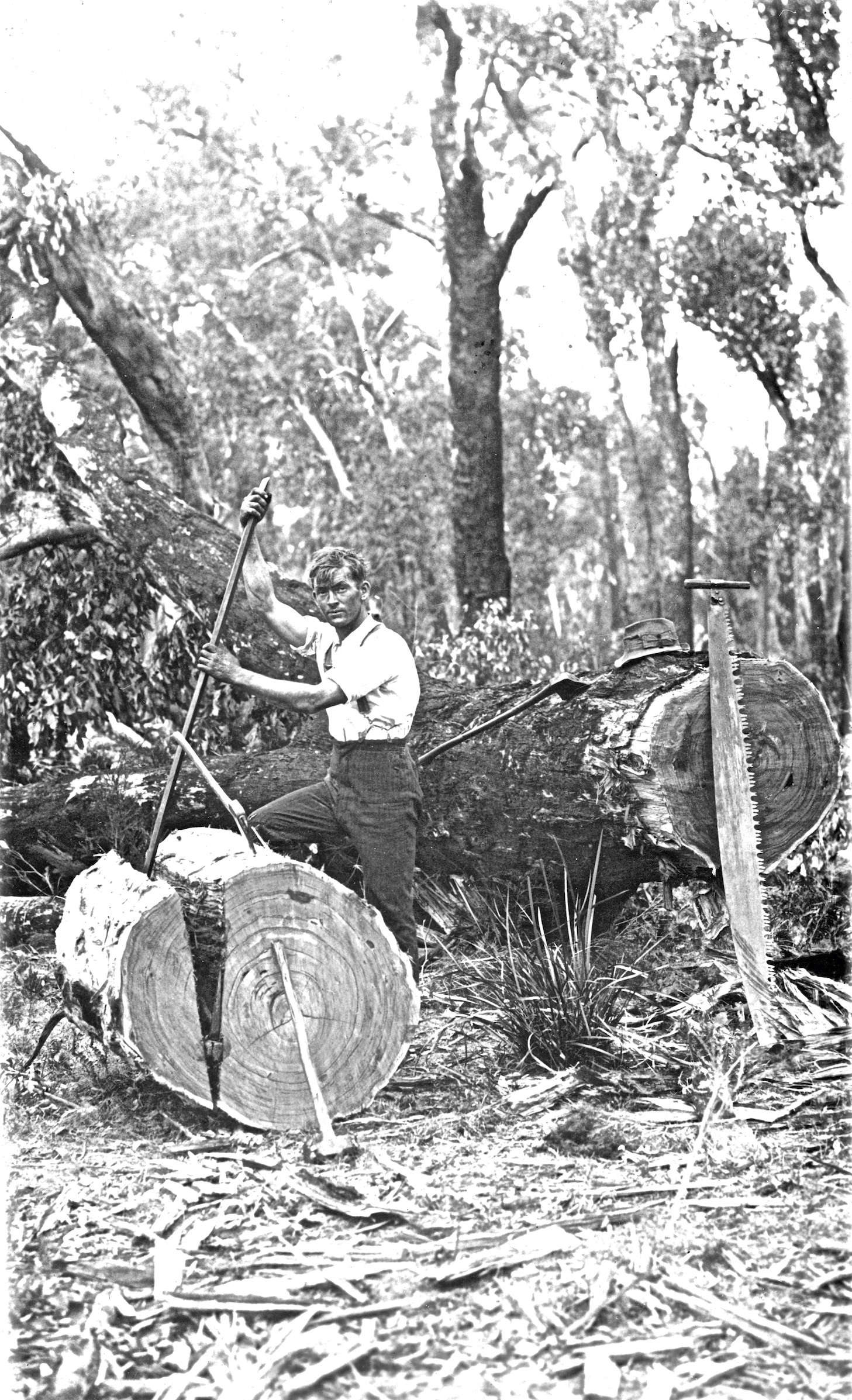 Mick Perrin, sleeper cutters, Gippsland - High Country History Hub