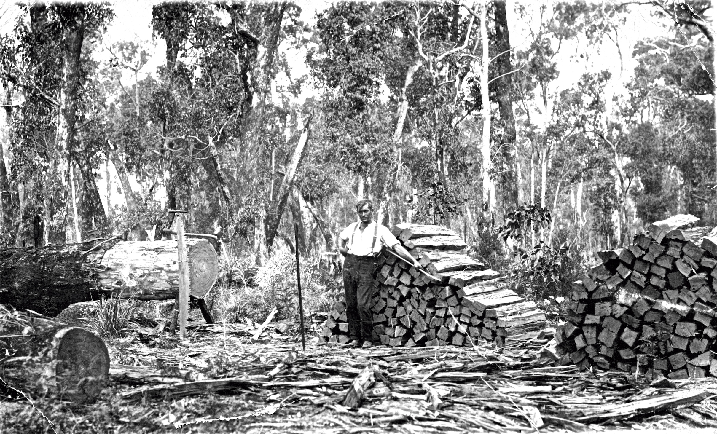 Mick Perrin, sleeper cutter, Gippsland. - High Country History Hub