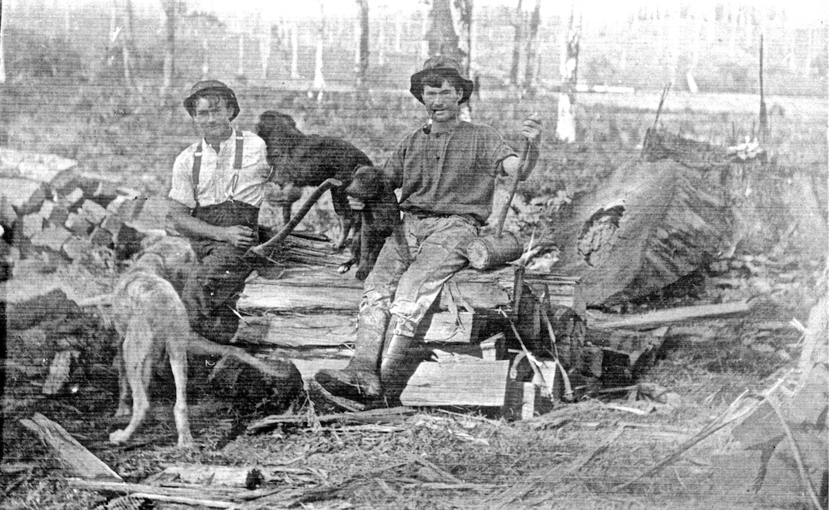 Perrin Brothers, sleeper cutters, Gippsland, having a break with their ...