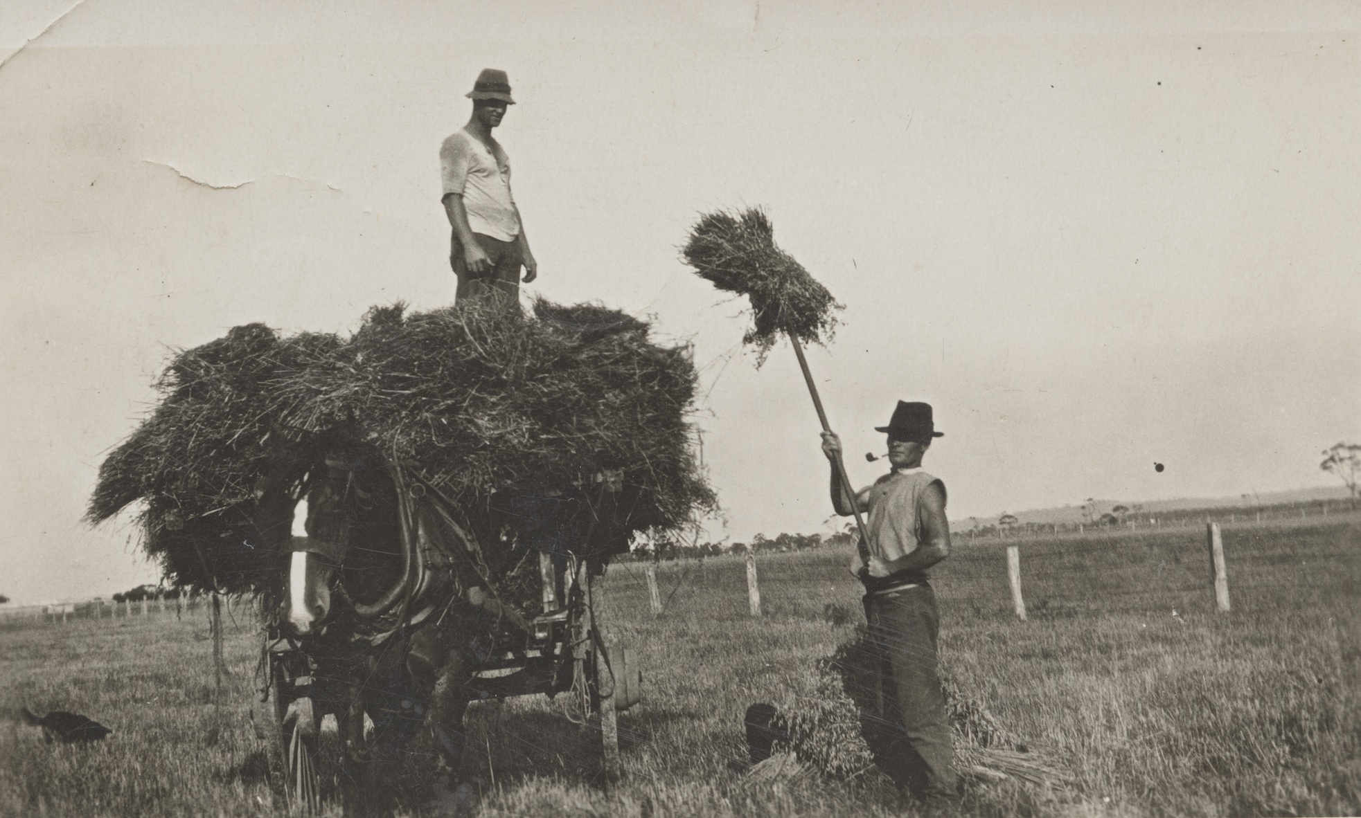 P and Bill Perrin - High Country History Hub