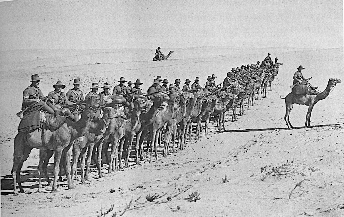 Frank Hurley's photo of the Australians of the Imperial Camel Corps ...