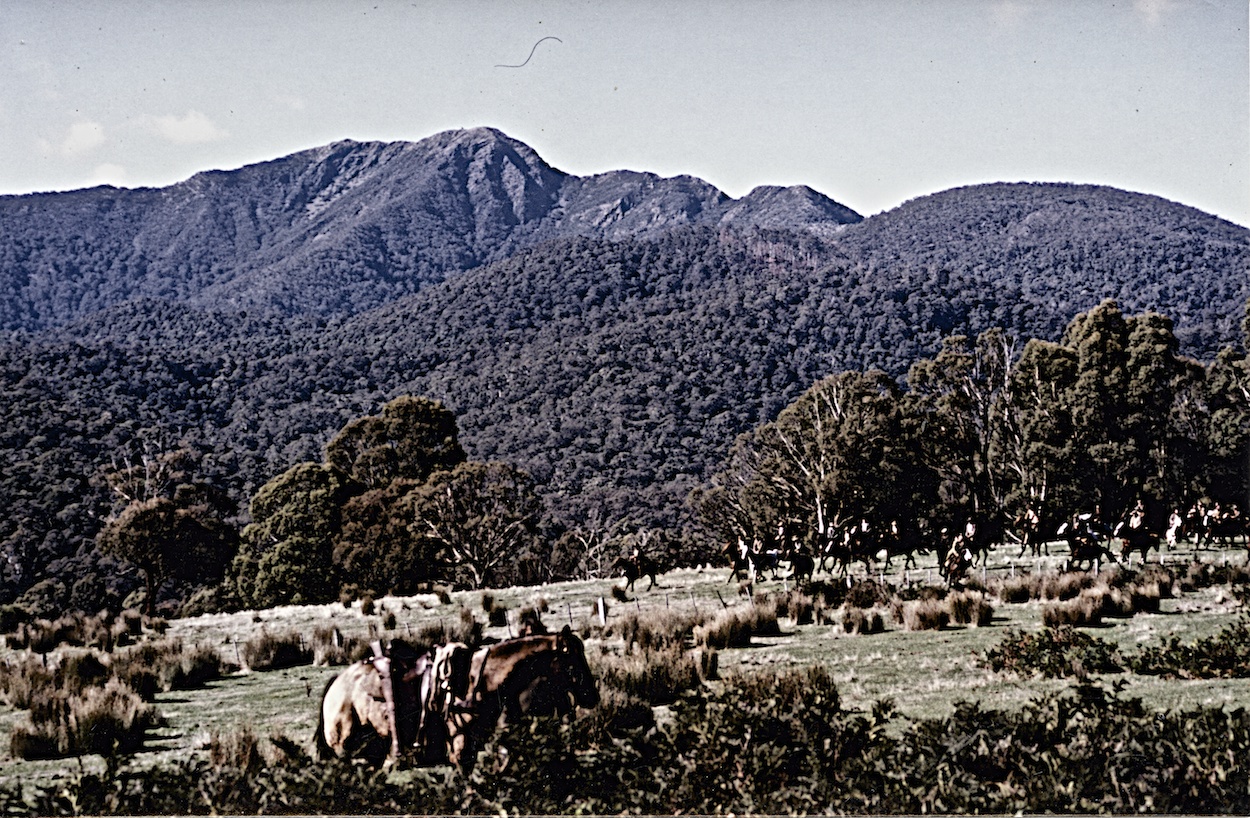 Filming 'The Man from Snowy River II' with Mt Buller in the background ...