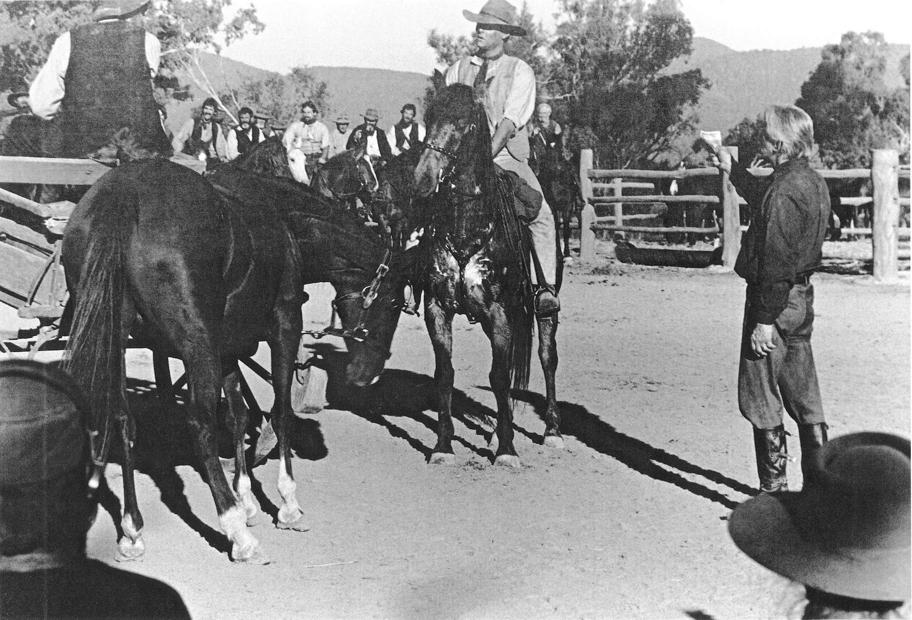 Back left to right: Paul Purcell, Greg Purcell, Chester Wallace, Peter ...