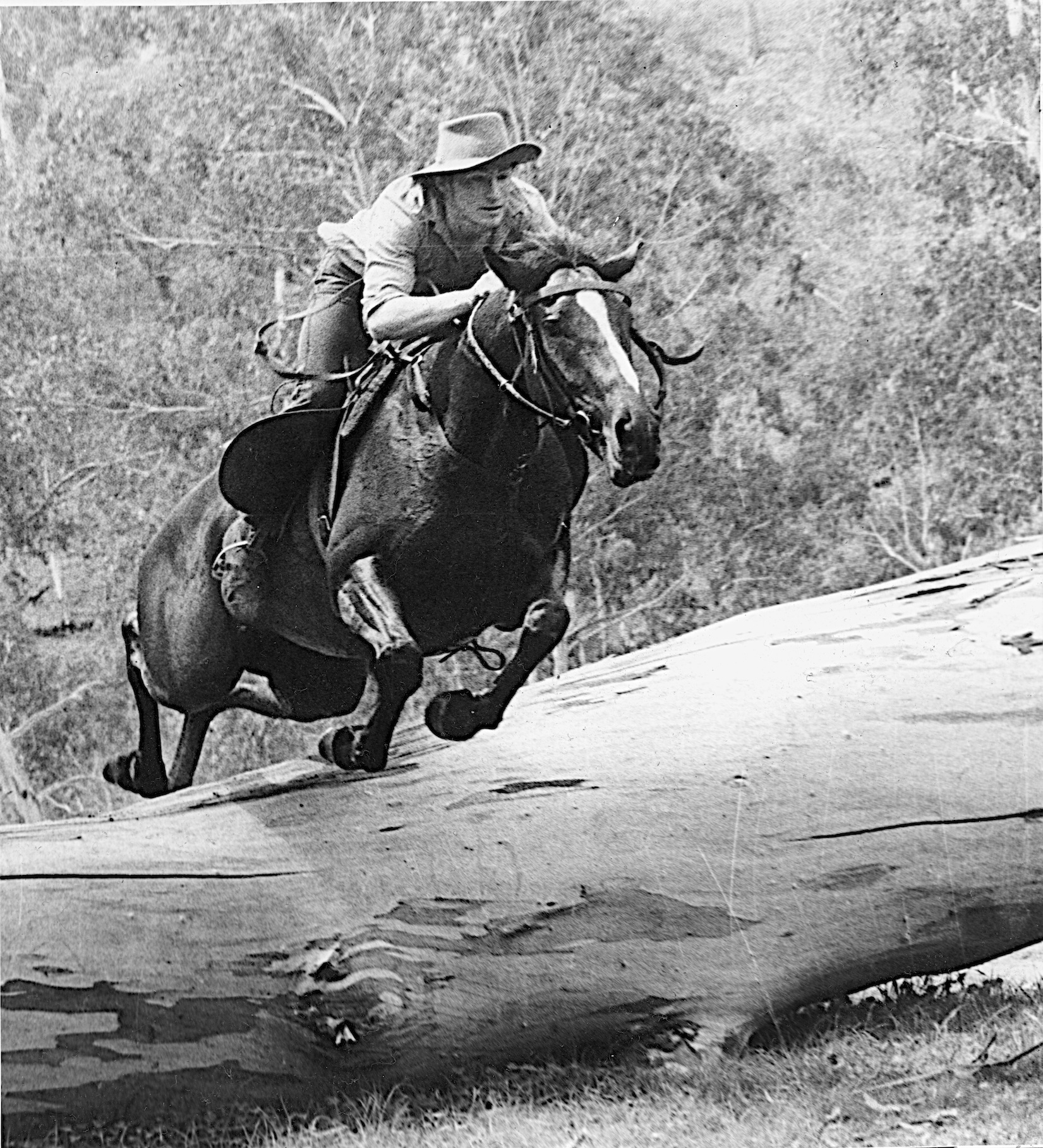 Gerald Egan, in action as the cup winner in the inaugural running of ...