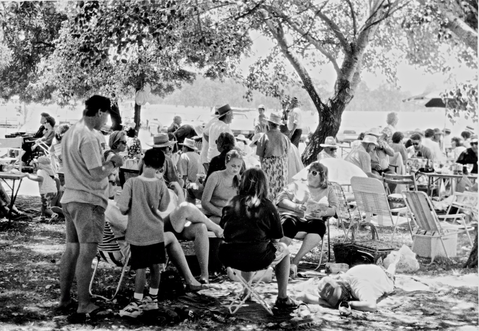 Mansfield Races - Cup Day - 1994 - High Country History Hub