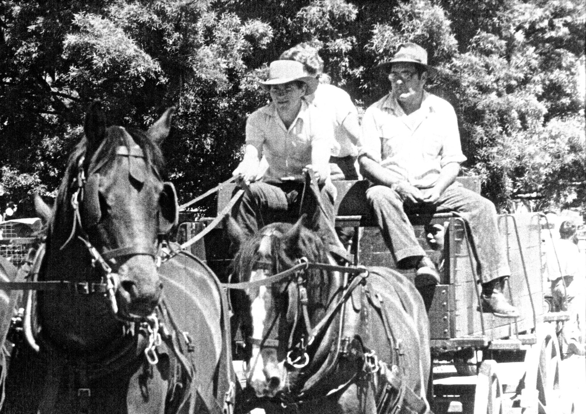 Gerald Egan & Max Scanlon - High Country History Hub