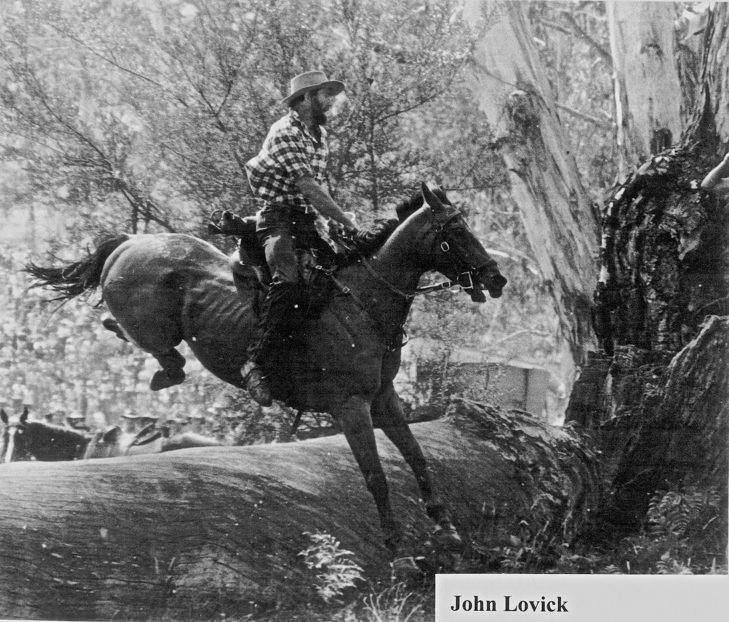 John Lovick - High Country History Hub