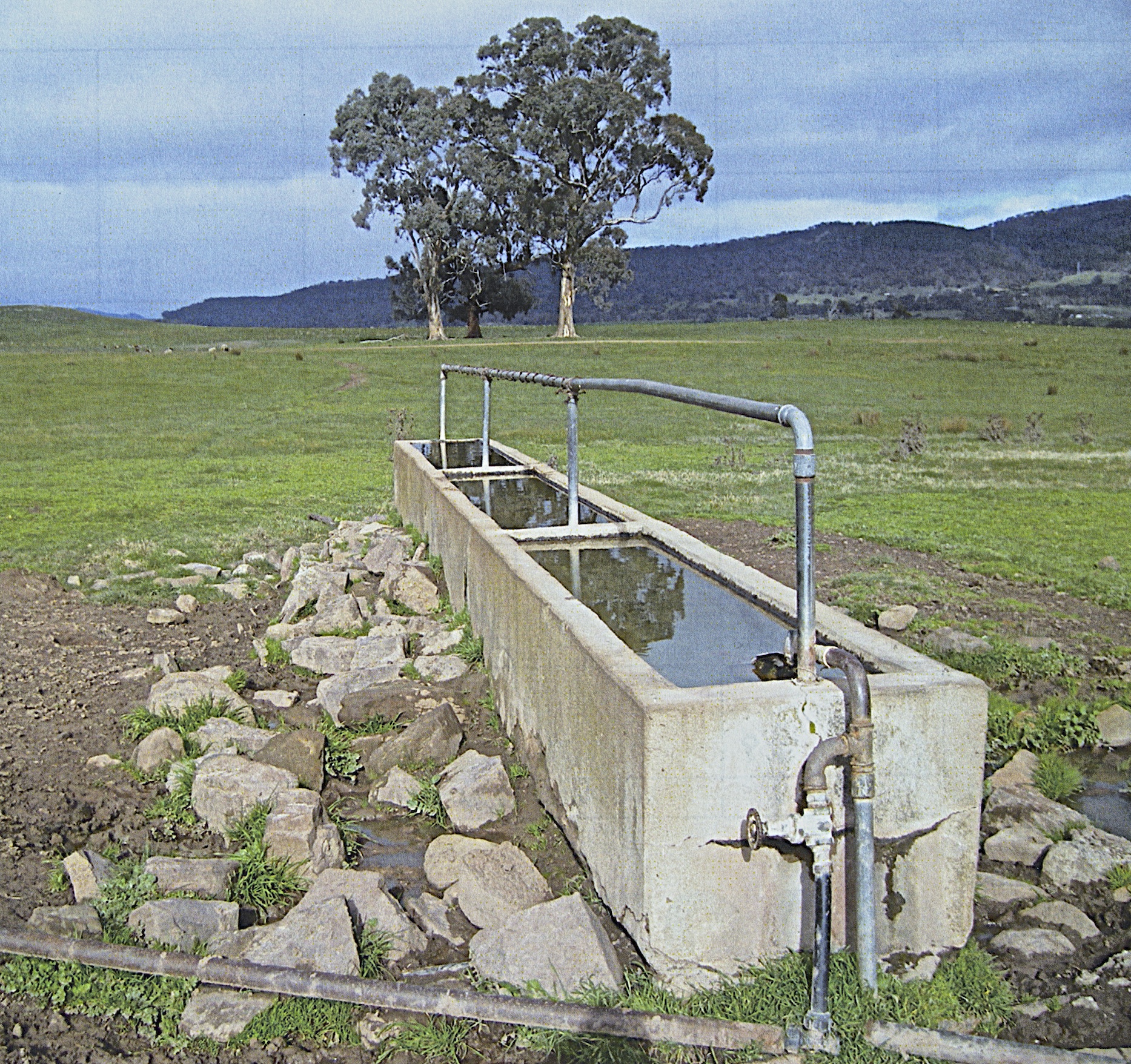 Drinking trough for sheep and cattle on 'Delatite Station', Delatite ...